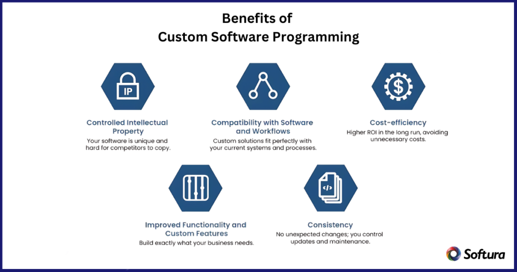 Key Advantages of Investing in Custom Software Programming